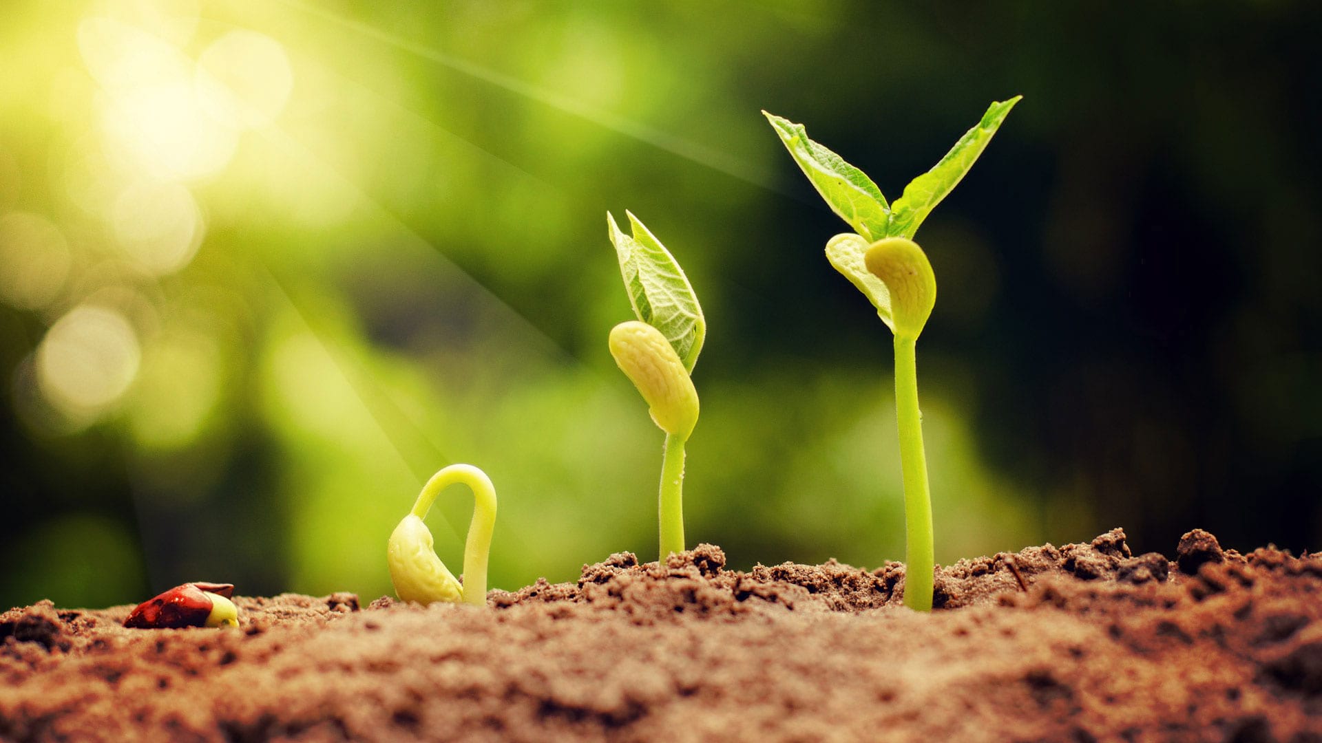 100 maiores empresas do Agro – Agrofel – Com você em todo o tempo.