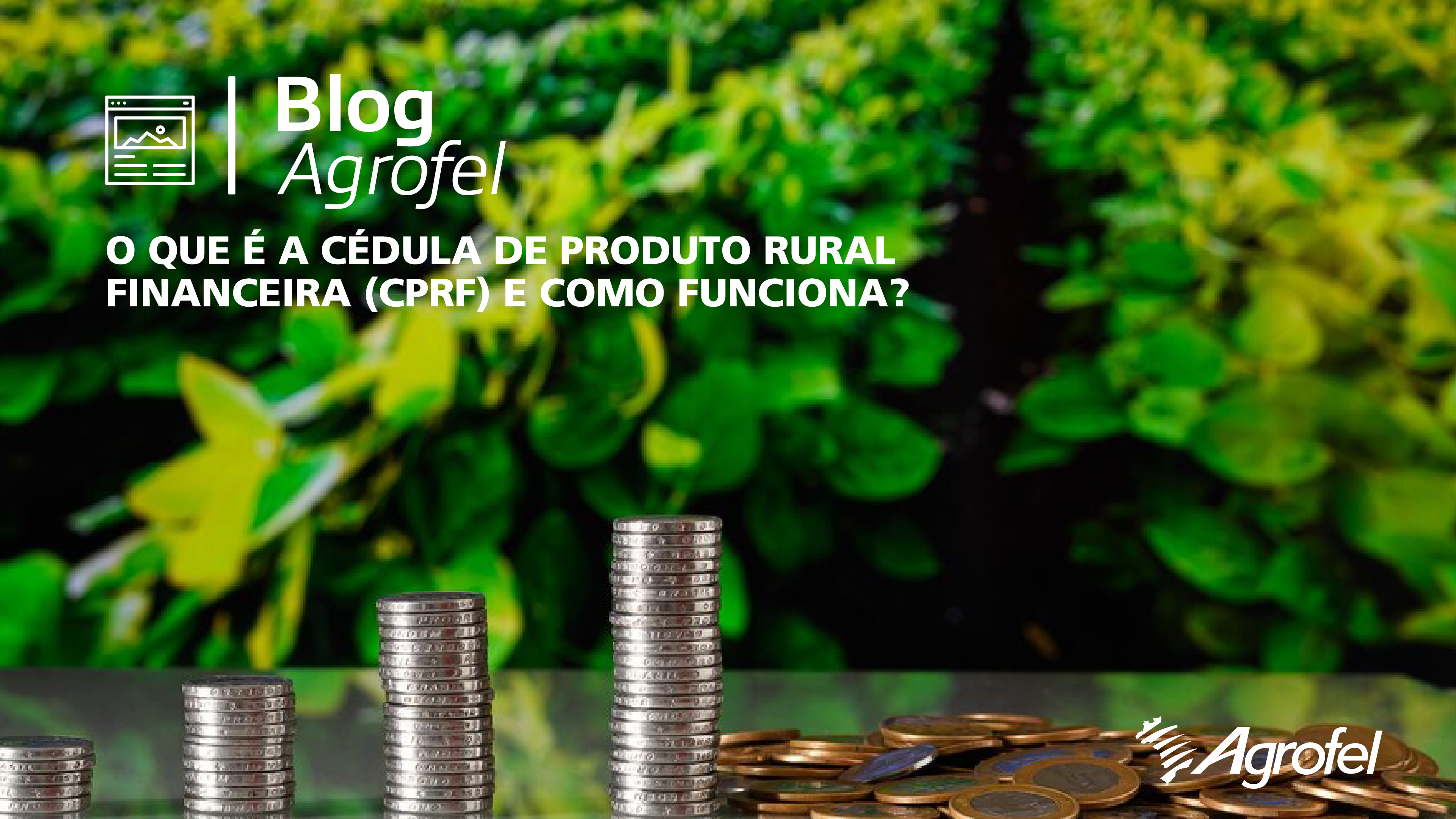 O que é a Cédula de Produto Rural Financeira (CPRF) e como funciona ...
