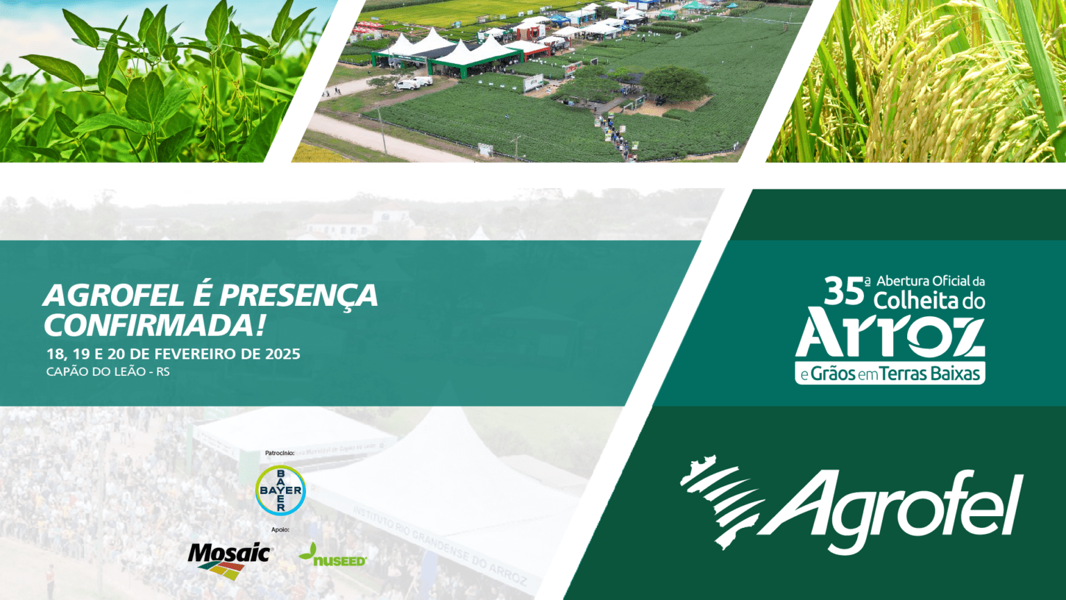 Agrofel marca presença na 35ª Abertura Oficial da Colheita do Arroz e ...